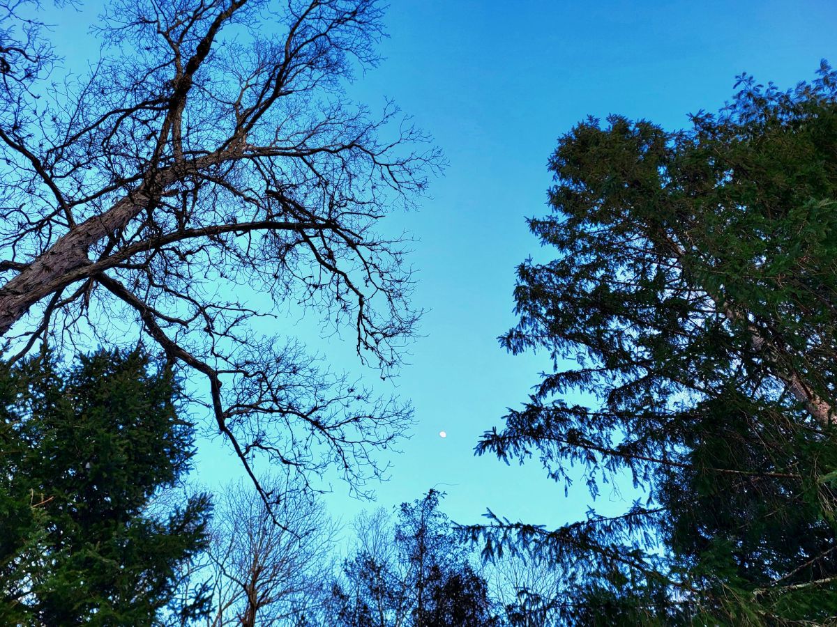 ideological – The Veracious Facade